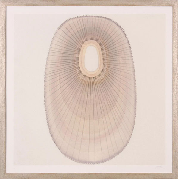 Shell Ii Art | Scout & Nimble