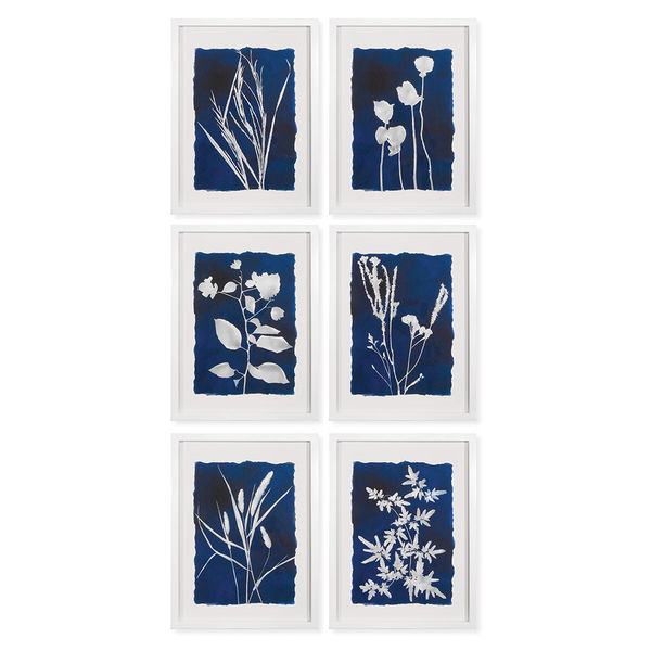 Wildflower Cyano Prints, Set Of 6 | Scout & Nimble