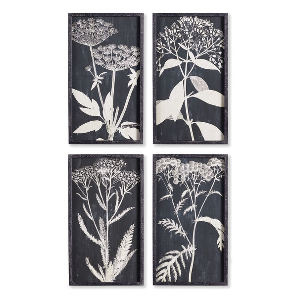 Monochrome Queen Anne's Lace Prints, Set Of 4 | Scout & Nimble