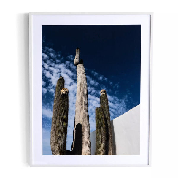 Spanish Saguaro | Scout & Nimble