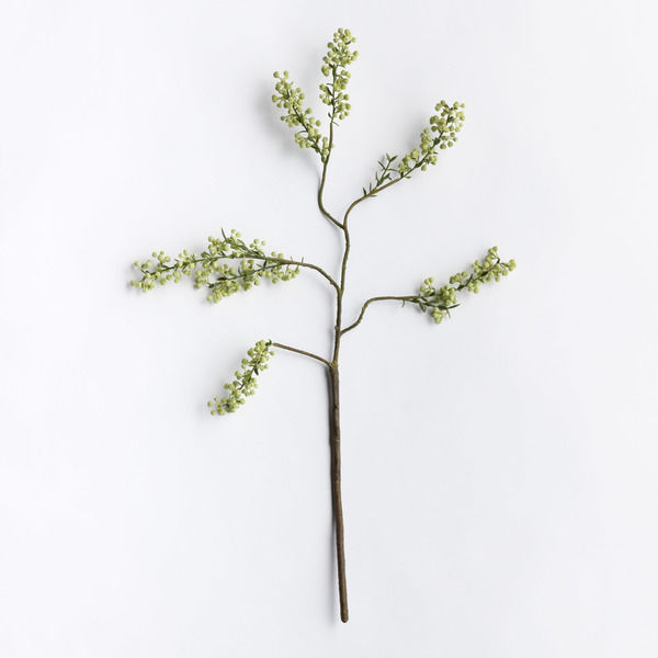 Green Blossom Stem | Scout & Nimble