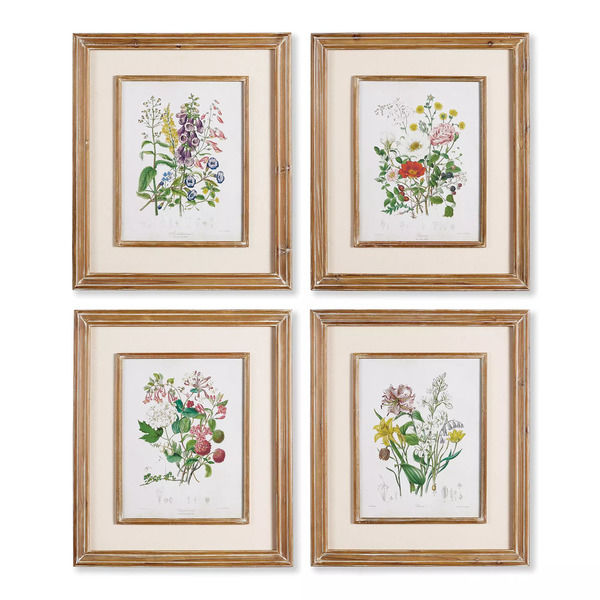 Garden Botanical Prints, Set Of 4 | Scout & Nimble
