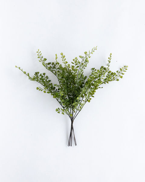 Dorothea Fern Stems, Bundle of 7 | Scout & Nimble