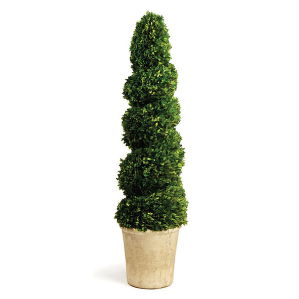Boxwood Spiral Topiary 52.5" | Scout & Nimble