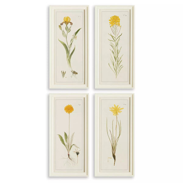 Yellow Flower Prints, Set Of 4 | Scout & Nimble