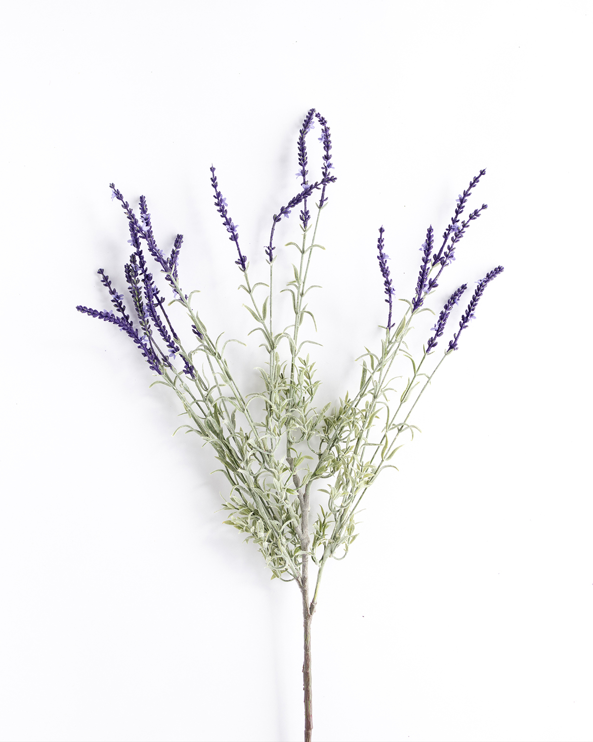 Colette French Lavender Bush - 34", Single Stem | Scout & Nimble