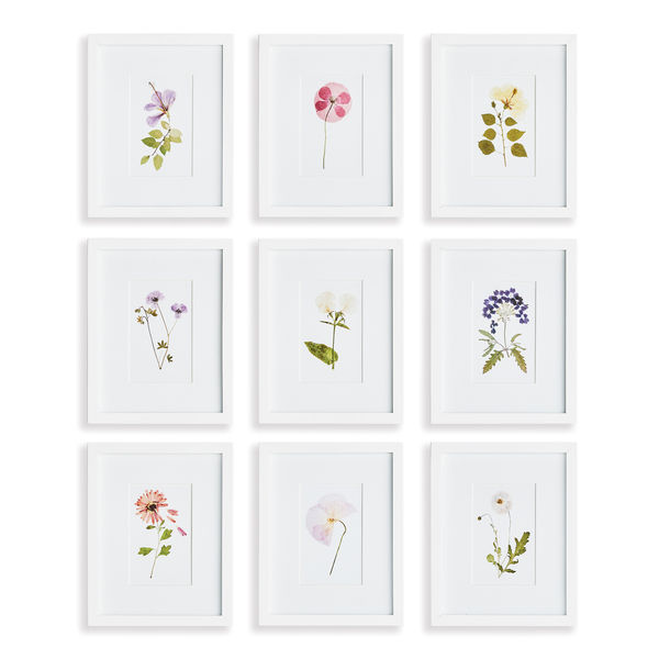Mountain Flower Petite Prints, Set Of 9 | Scout & Nimble