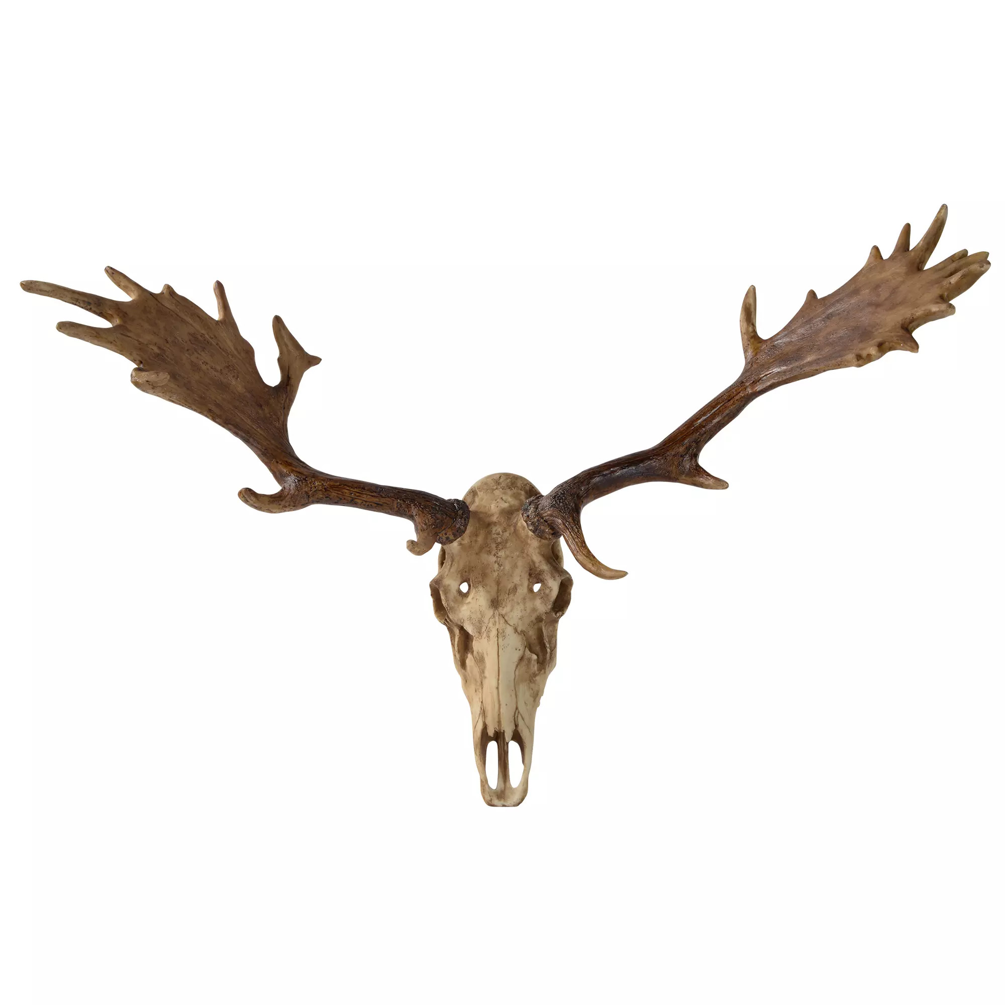 Wapiti Statue | Scout & Nimble