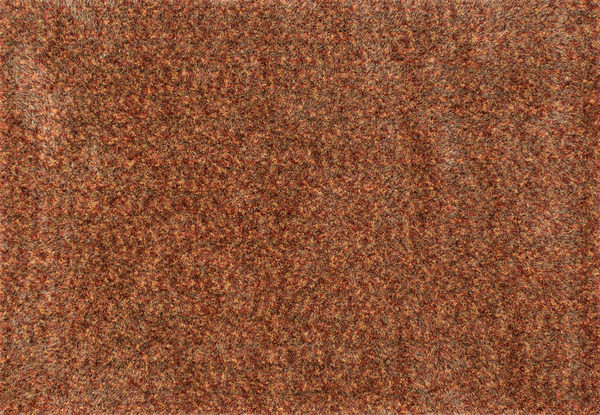 Callie Shag Rust / Multi Rug | Scout & Nimble