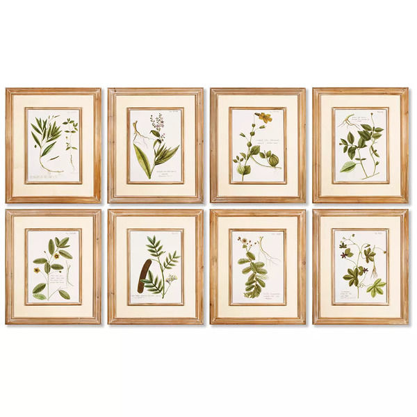 Spring Botanical Prints, Set Of 8 | Scout & Nimble
