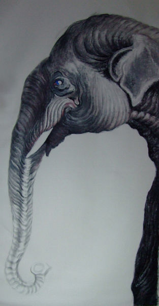 Elephant Trunk | Scout & Nimble