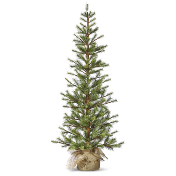Juniper 4' Slim Pine Tree in Burlap Bag | Scout & Nimble