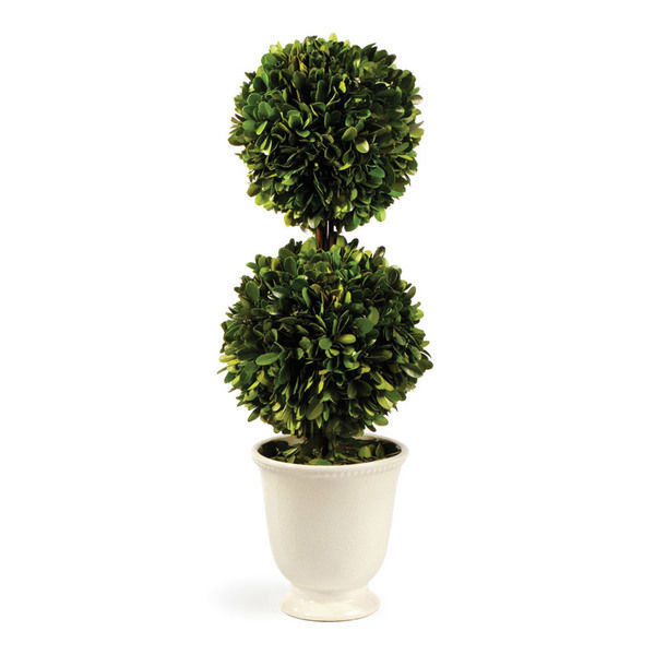 Boxwood Double Ball Topiary In Beaded White Pot | Scout & Nimble