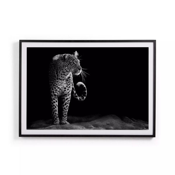 Leopard Stare, Teague Collection | Scout & Nimble