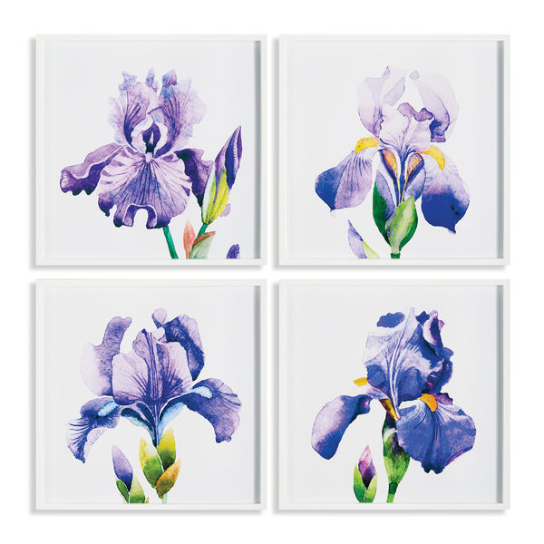 Iris Prints, Set Of 4 | Scout & Nimble