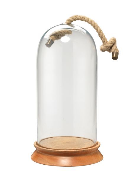 Bell Jar | Scout & Nimble