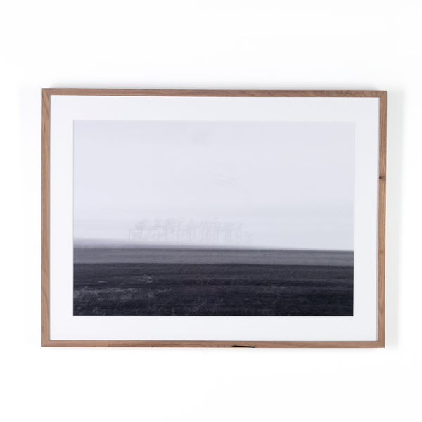 You'll Find Her South Of The Bayou By Toni Toscano | Scout & Nimble